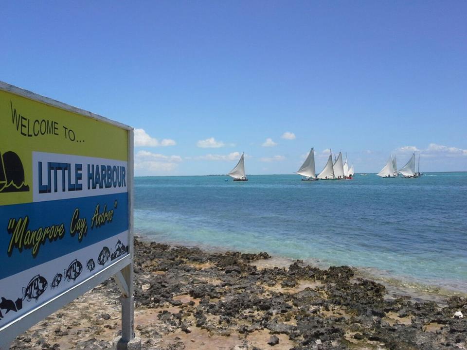 Mangrove Cay Homecoming & Regatta | Tourism Today