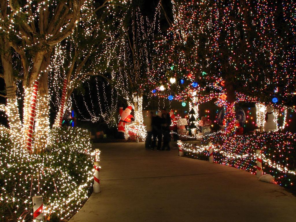 Santa's Enchanted Forest @ Levy Preserve | Tourism Today